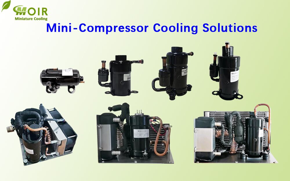 Thermoelectric vs. Compressor-Based Cooling – Which is Best for You ...